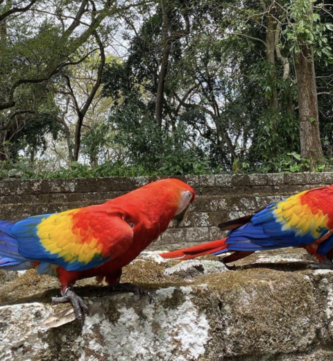 Olancho: Tierra que sabe a cariño del bueno ideal para hacer amigos